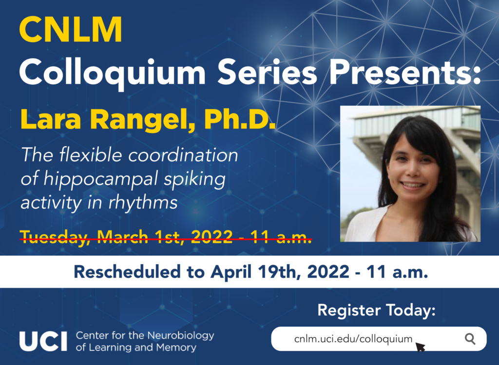 Lara Rangel, Ph.D. - Brain