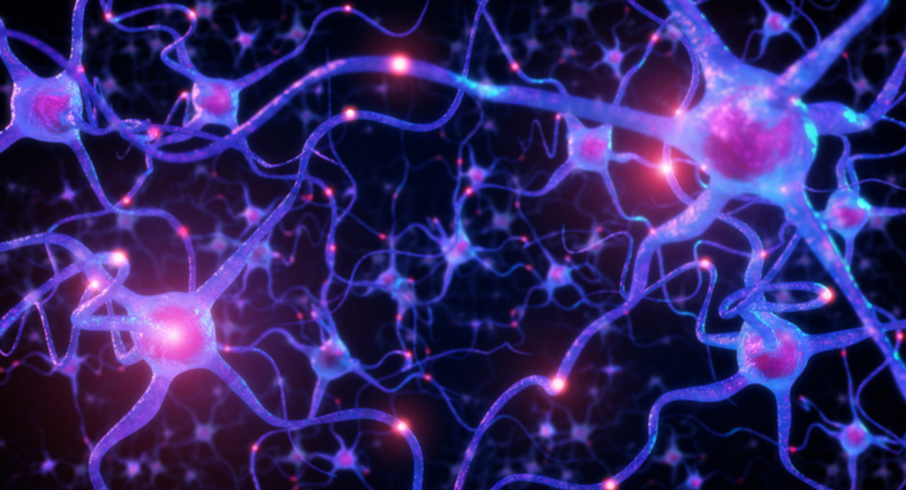 UCI Conte Center Seminar Series with Alexander Shackman, PhD – Brain